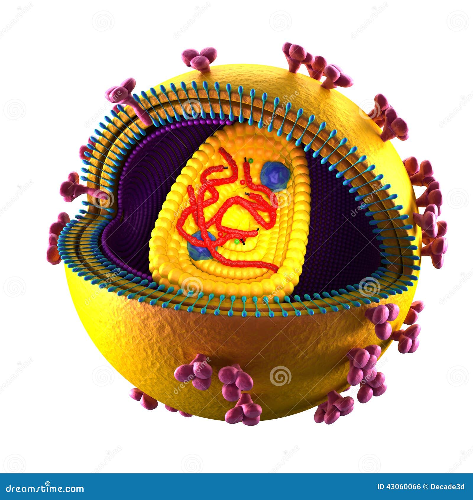 HIV Cell - Isolated on White Stock Photo - Image of macro, microbe ...