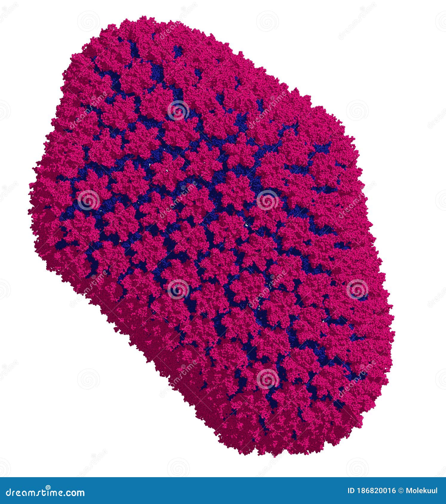 HIV-1 Virus Capsid. Retrovirus, Causative Agent of AIDS. Atomic-level ...