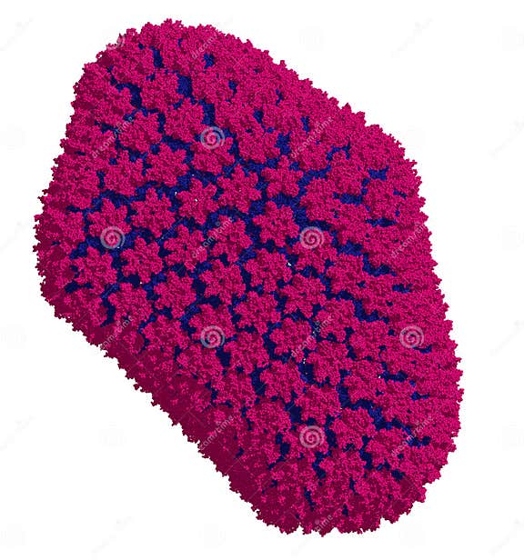 HIV-1 Virus Capsid. Retrovirus, Causative Agent of AIDS. Atomic-level ...