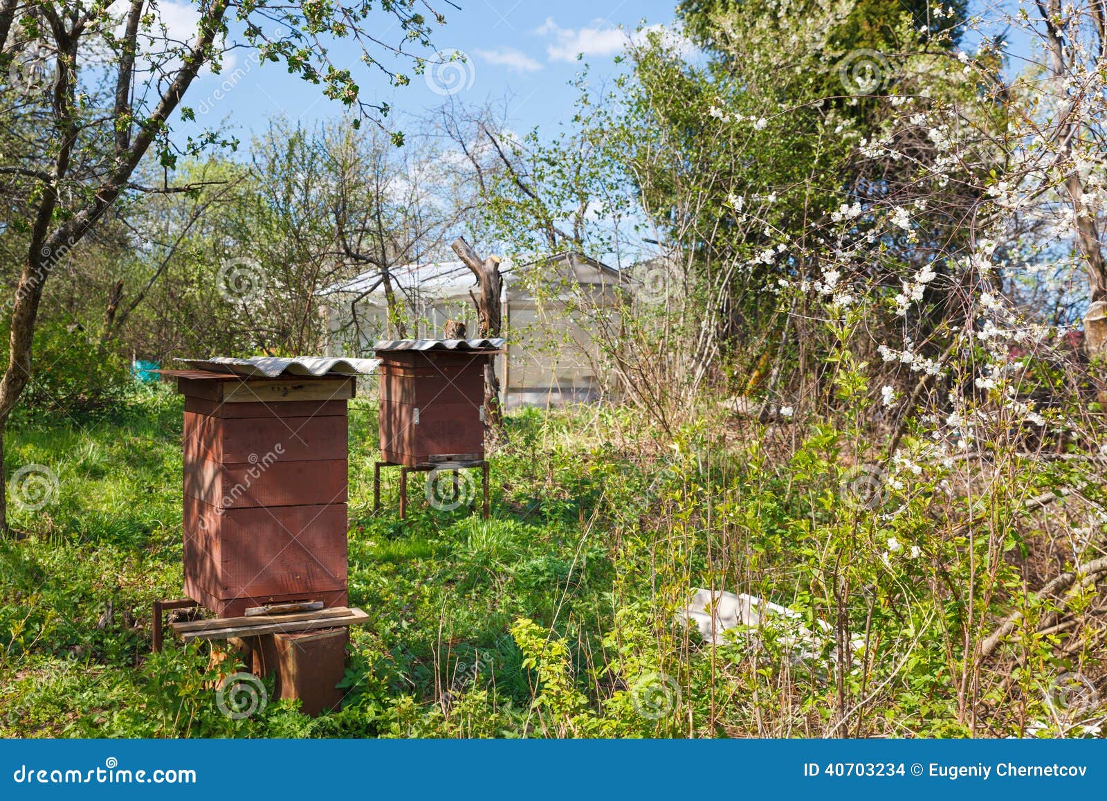 Hive with bees spring stock photo. Image of industry - 40703234