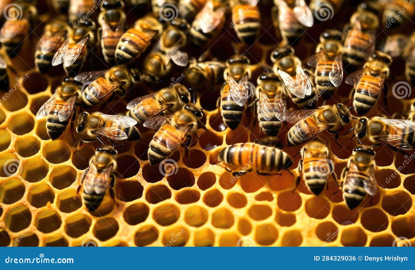 In the Hive, Bees Work Industriously, Crafting Perfect Honeycomb Cells ...