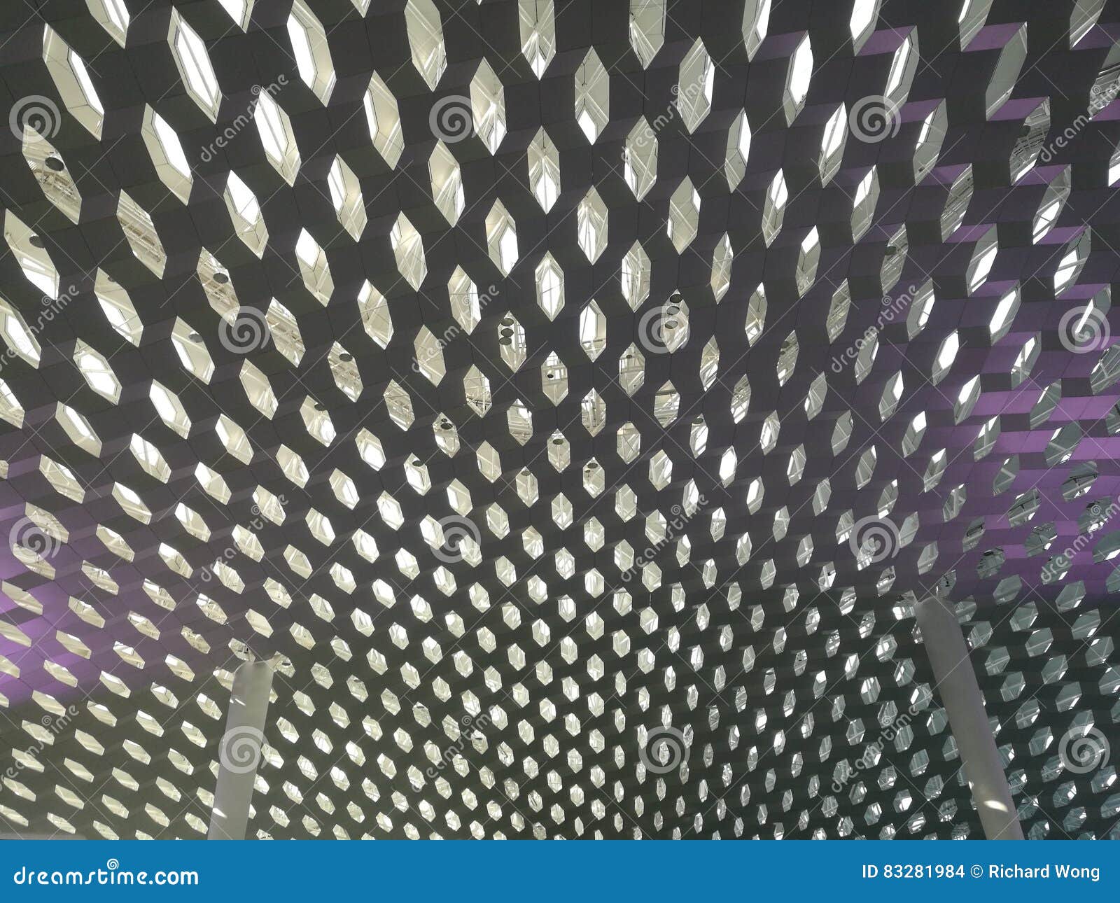 The Hive Construct Artic in the Internal of Shenzhen Baoan ...