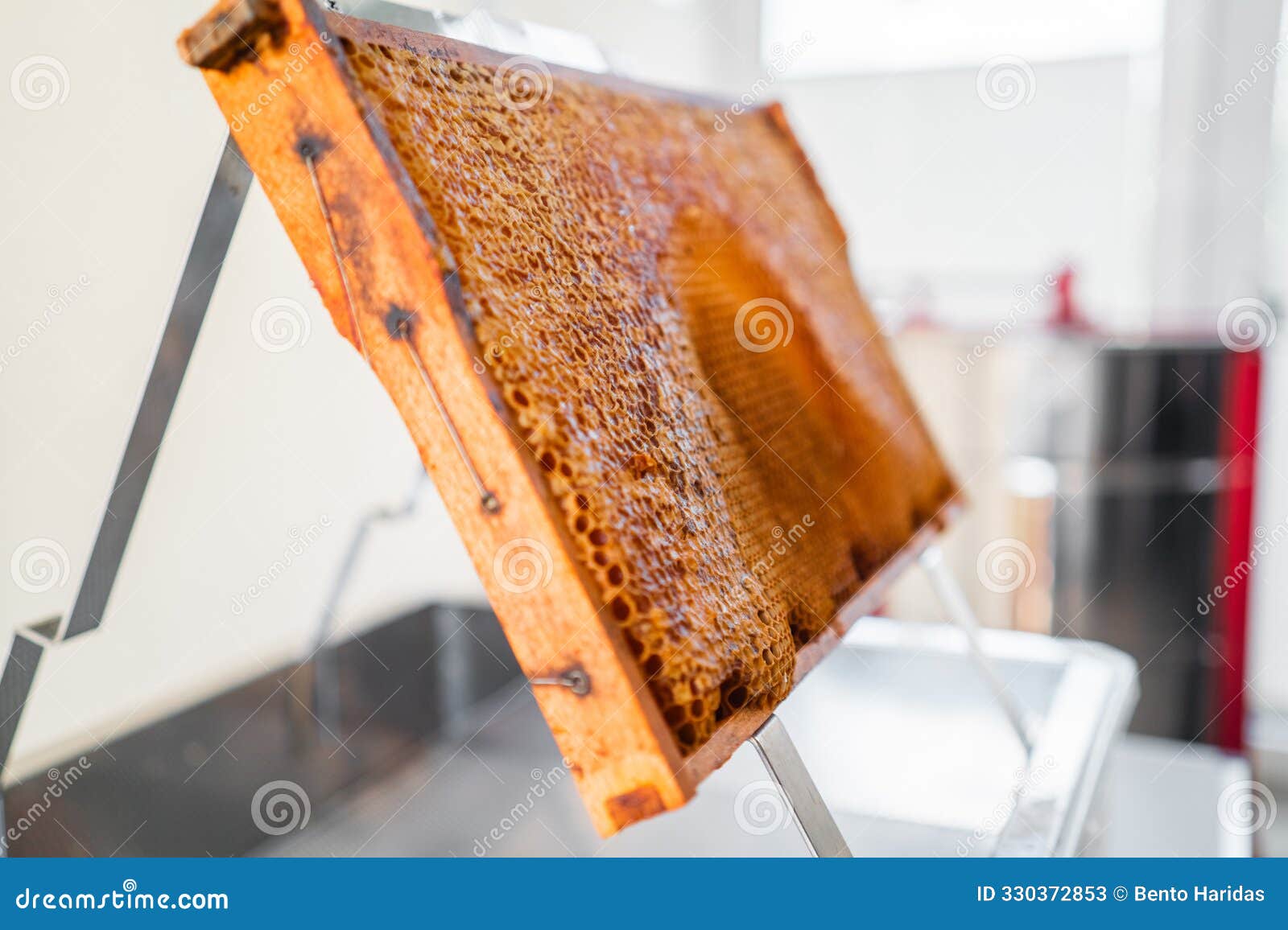 Frame of a Beehive with Capped Honeycombs Close Up Stock Image - Image ...