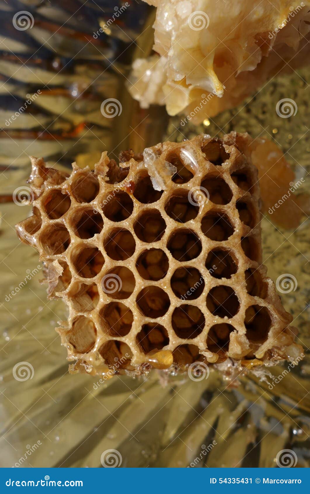 Hive honey stock image. Image of hive, honey, diet, spoon - 54335431