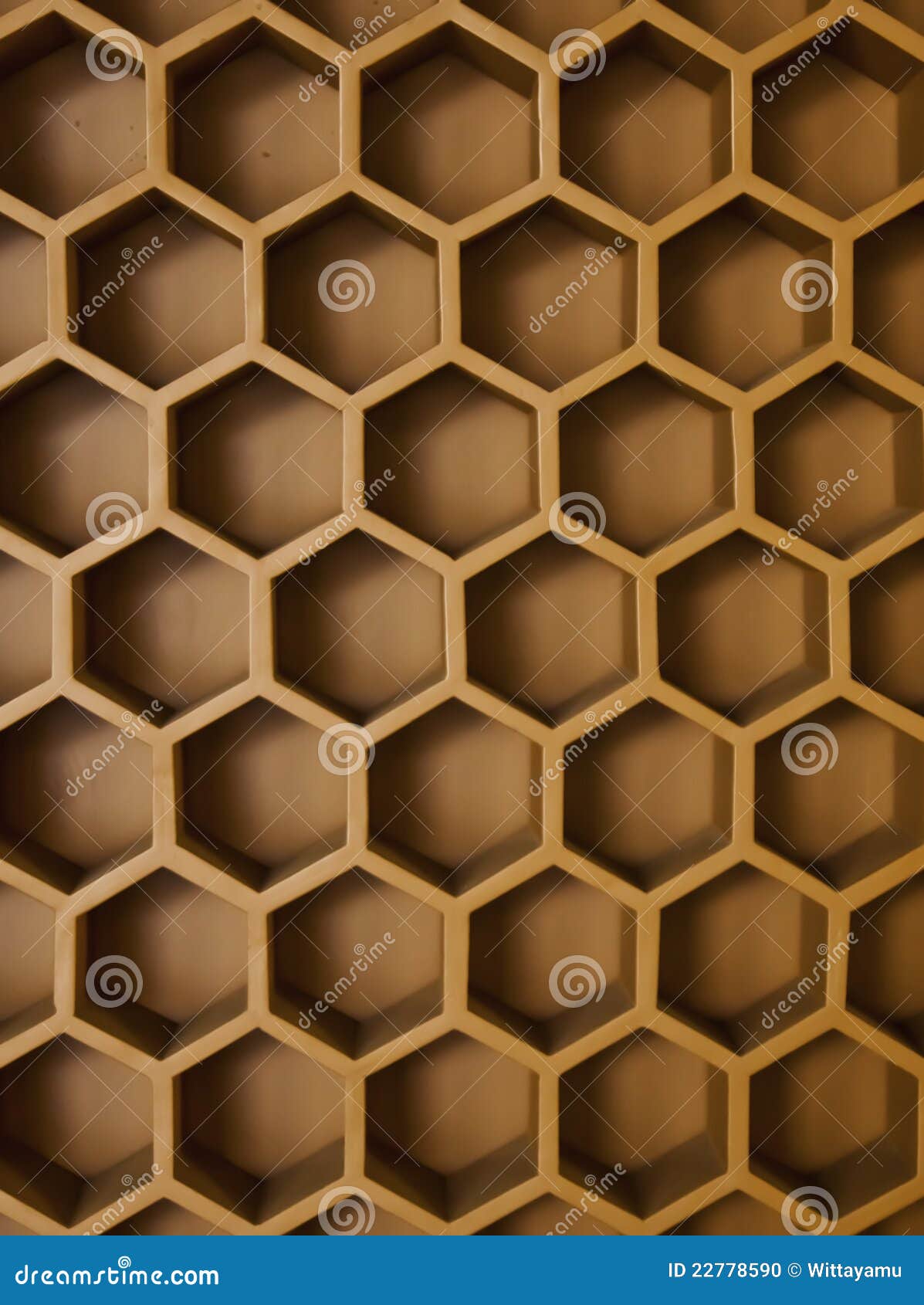 The hive wall stock photo. Image of shape, linkage, enclosure - 22778590