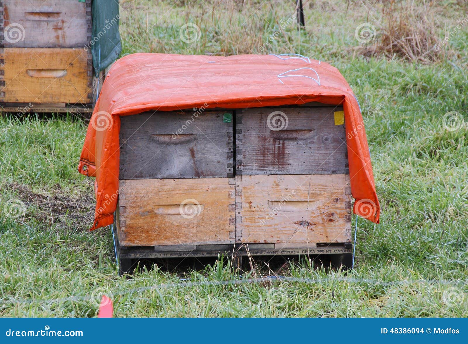 Hive Wrap stock photo. Image of wood, insulate, freezing - 48386094