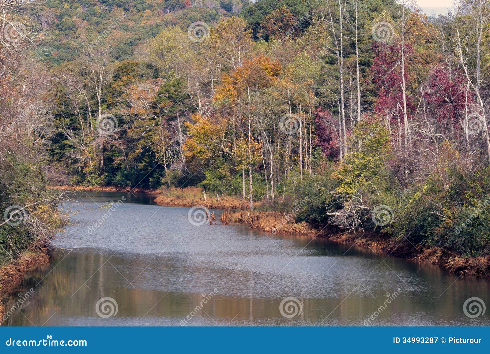 Hiwassee River in Autumn stock image. Image of green - 34993287