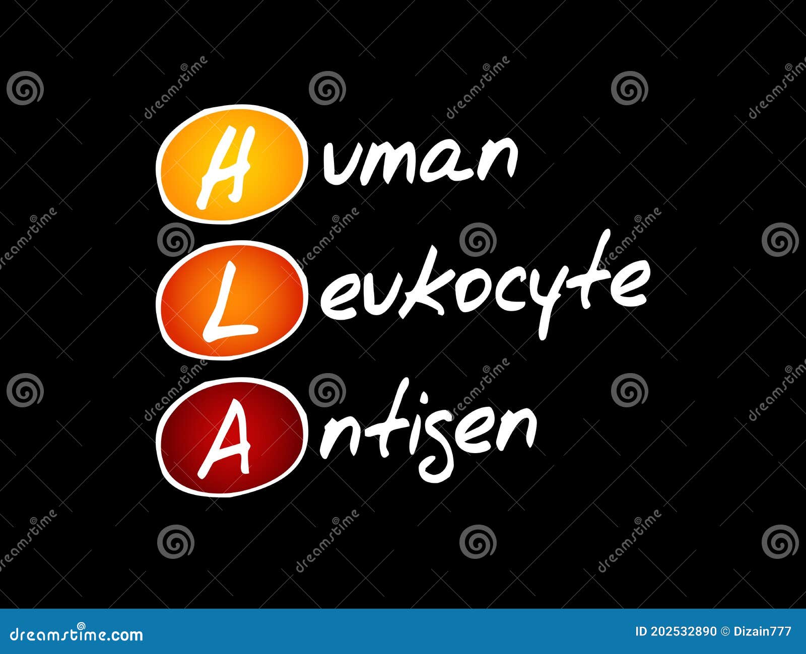 HLA - Human Leukocyte Antigen Acronym, Medical Concept Background Stock ...