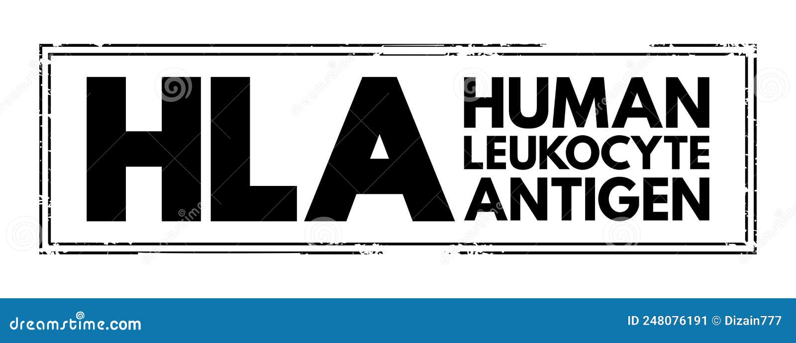 HLA Human Leukocyte Antigen - Complex of Genes on Chromosome 6 in ...