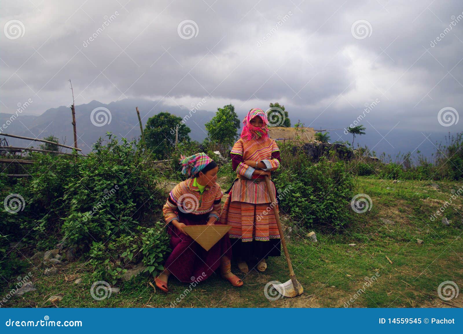 Hmong Flower Girls Returning from the Fields Editorial Image - Image of ...