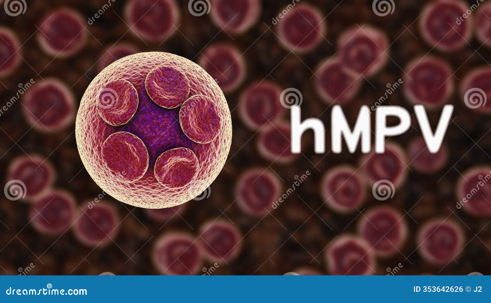 Hmpv Virus Structure Close-up with Highlighted Protein Components. HMPV ...
