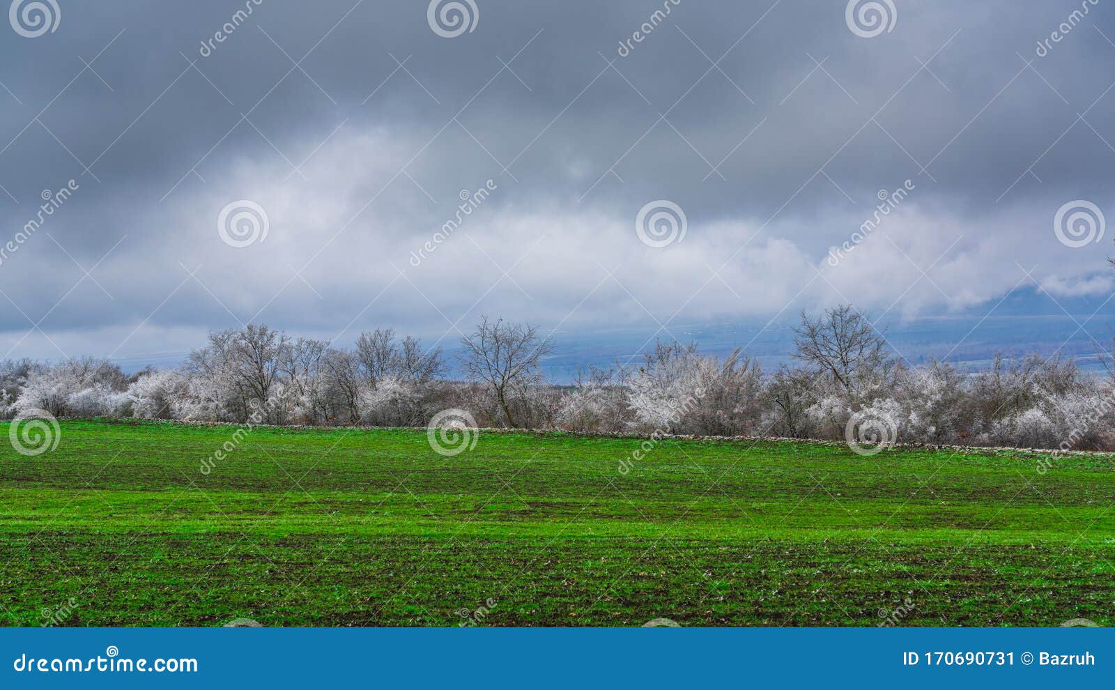 Hoar Covered Trees on Farm Fields Stock Image - Image of frost, land ...