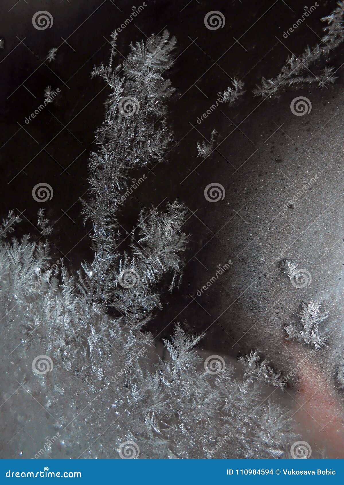 Winter lace stock photo. Image of background, cover - 110984594