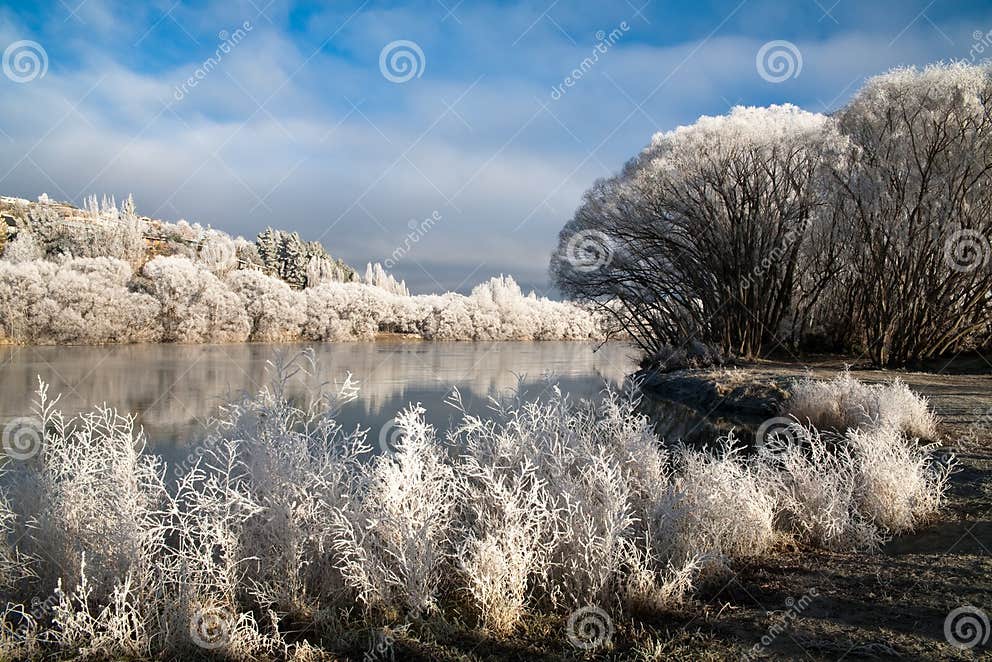 Hoar frost stock photo. Image of otago, freeze, cool - 26084710