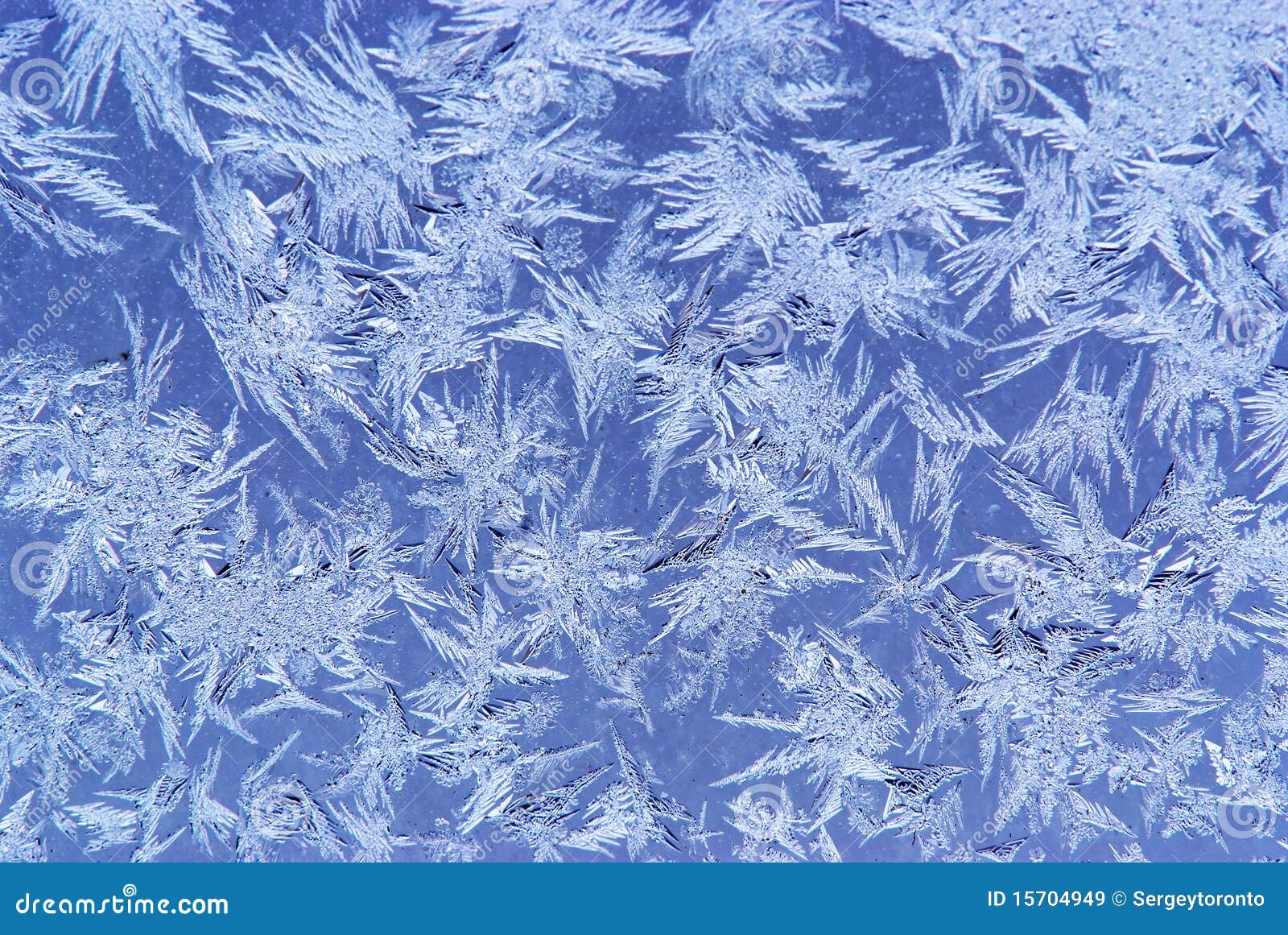 Hoar-frost background stock image. Image of natural, clear - 15704949