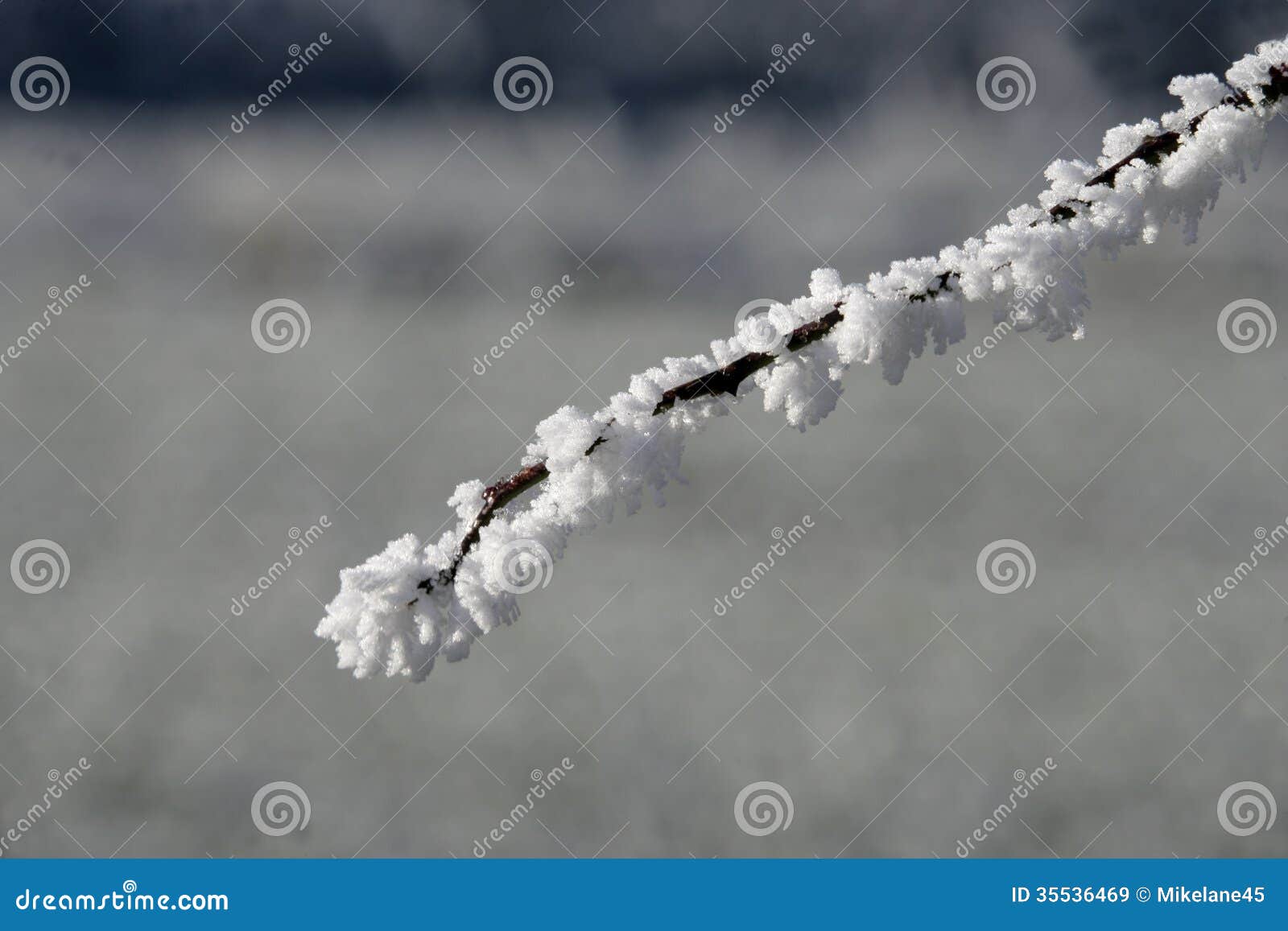 Hoar frost, stock image. Image of morning, winter, snow - 35536469