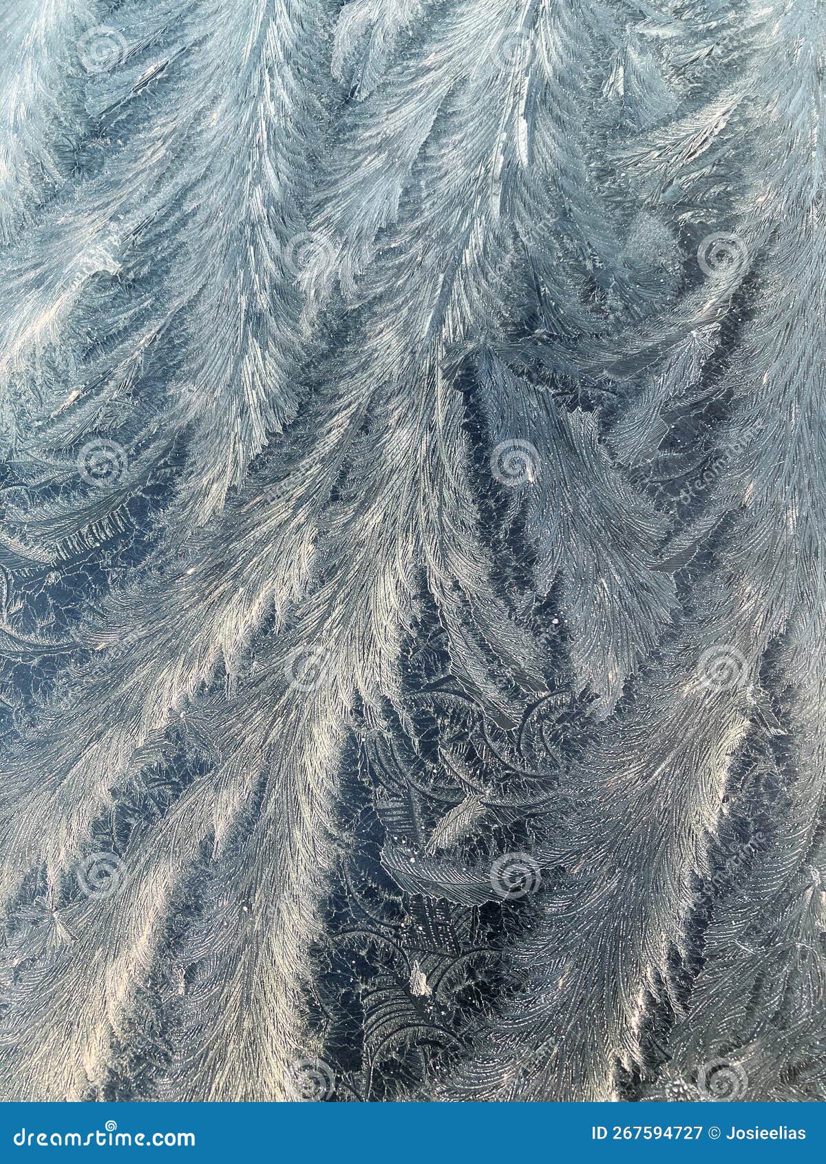 Hoar Frost on Glass, Abstract Natural Pattern Stock Image - Image of ...