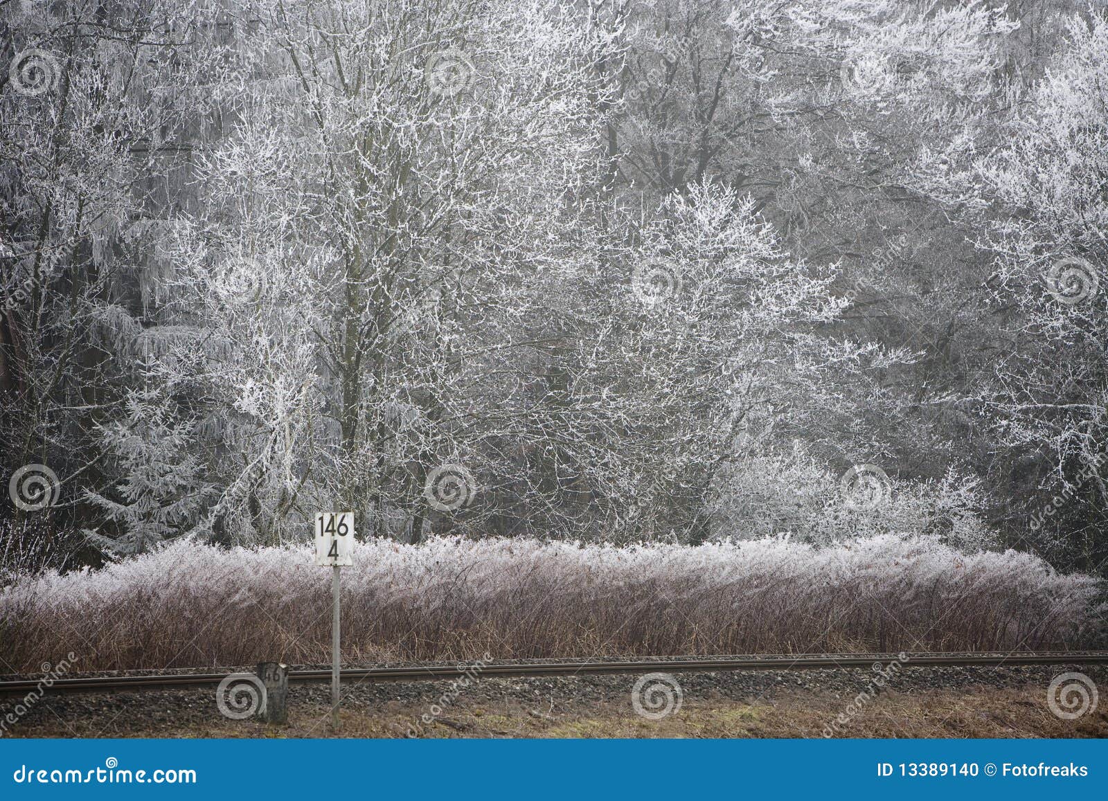 Hoar frost landscape stock photo. Image of idyll, flora - 13389140