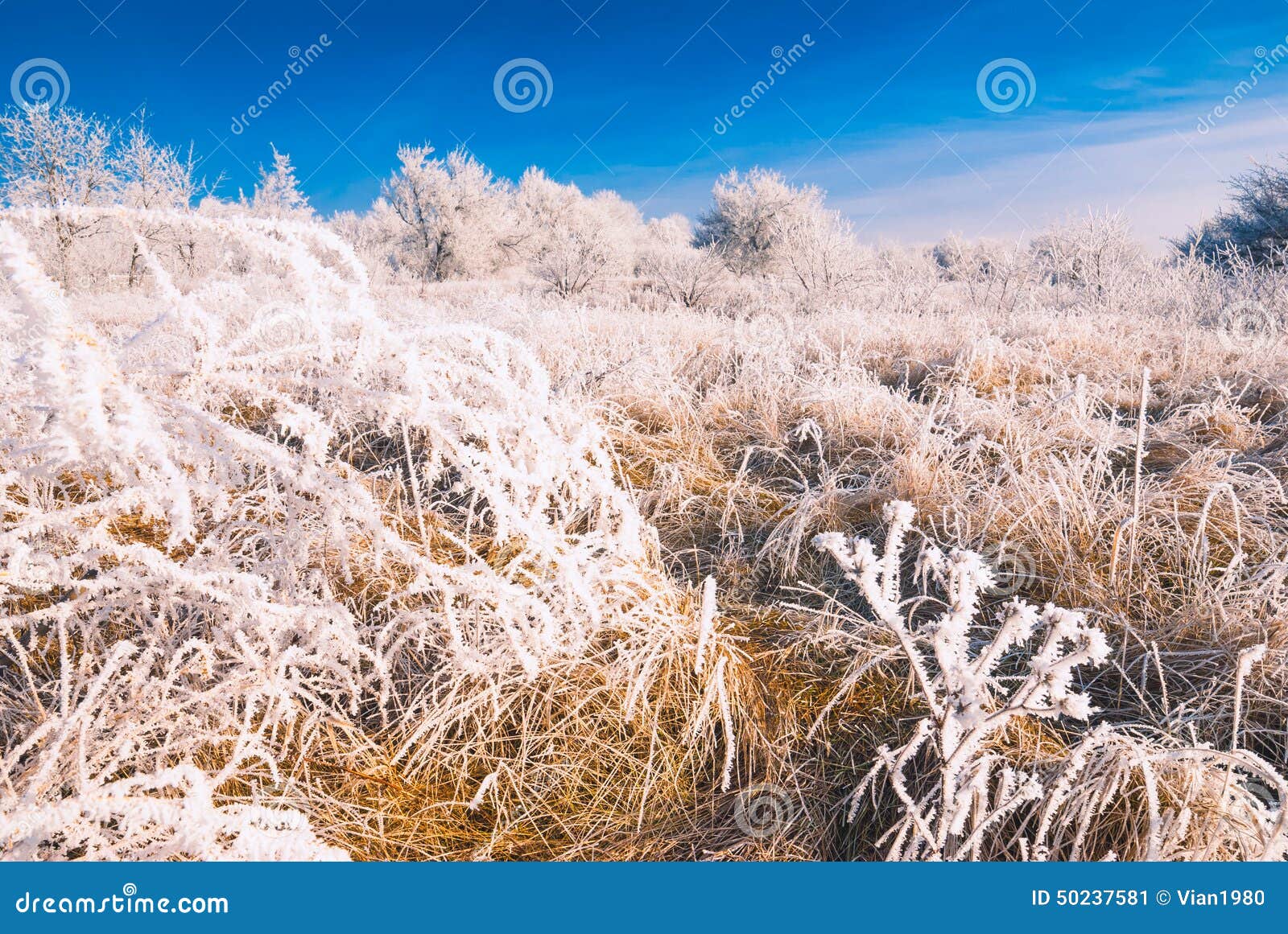 Hoar frost valley stock image. Image of blue, landscape - 50237581