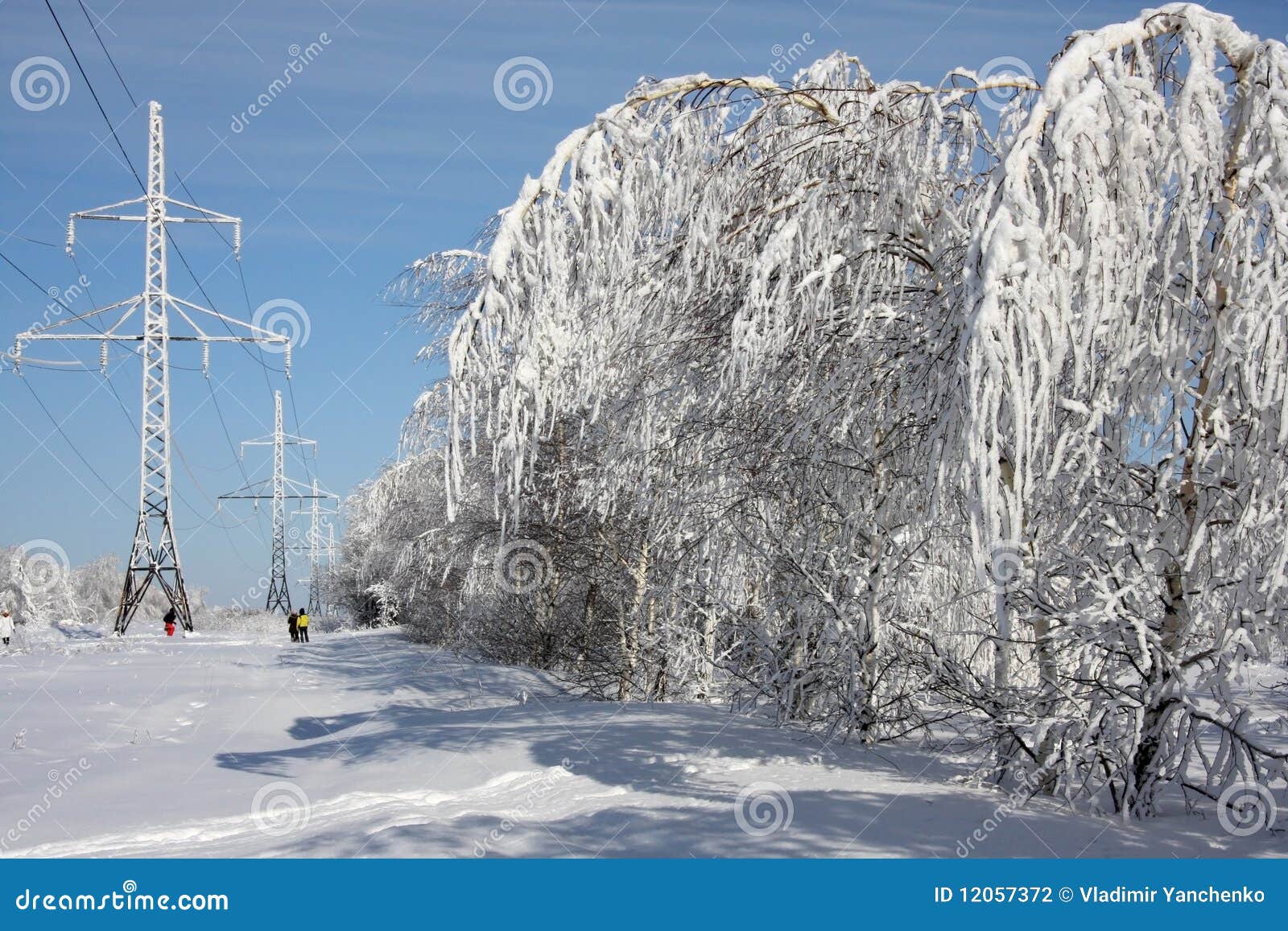 Hoarfrost stock photo. Image of park, glade, weight, blue - 12057372