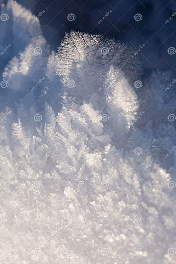 Hoarfrost close up stock image. Image of abstract, weather - 4216983