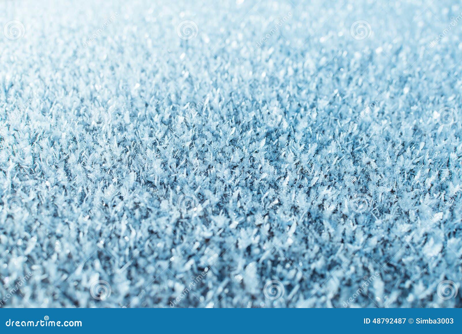Hoarfrost stock image. Image of fragile, abstract, bright - 48792487