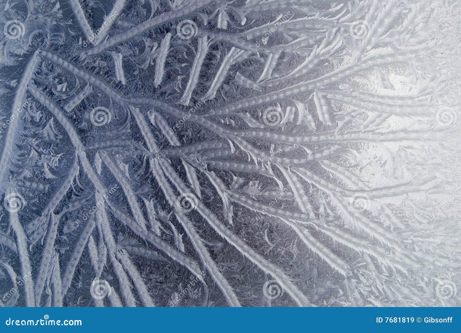 Hoarfrost on glass stock image. Image of frost, glass - 7681819