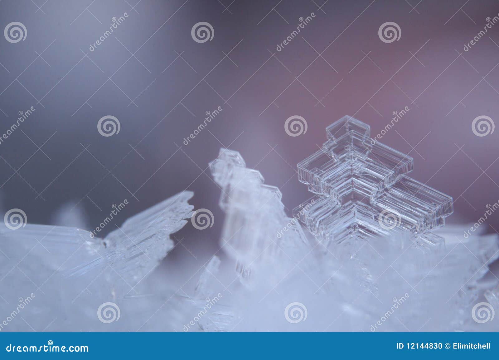 Hoarfrost Ice Crystals in the Arctic Winter Stock Photo - Image of ...