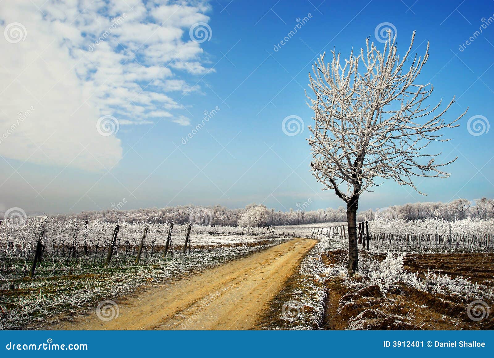 Hoarfrost landscape stock image. Image of hoarfrost, austria - 3912401