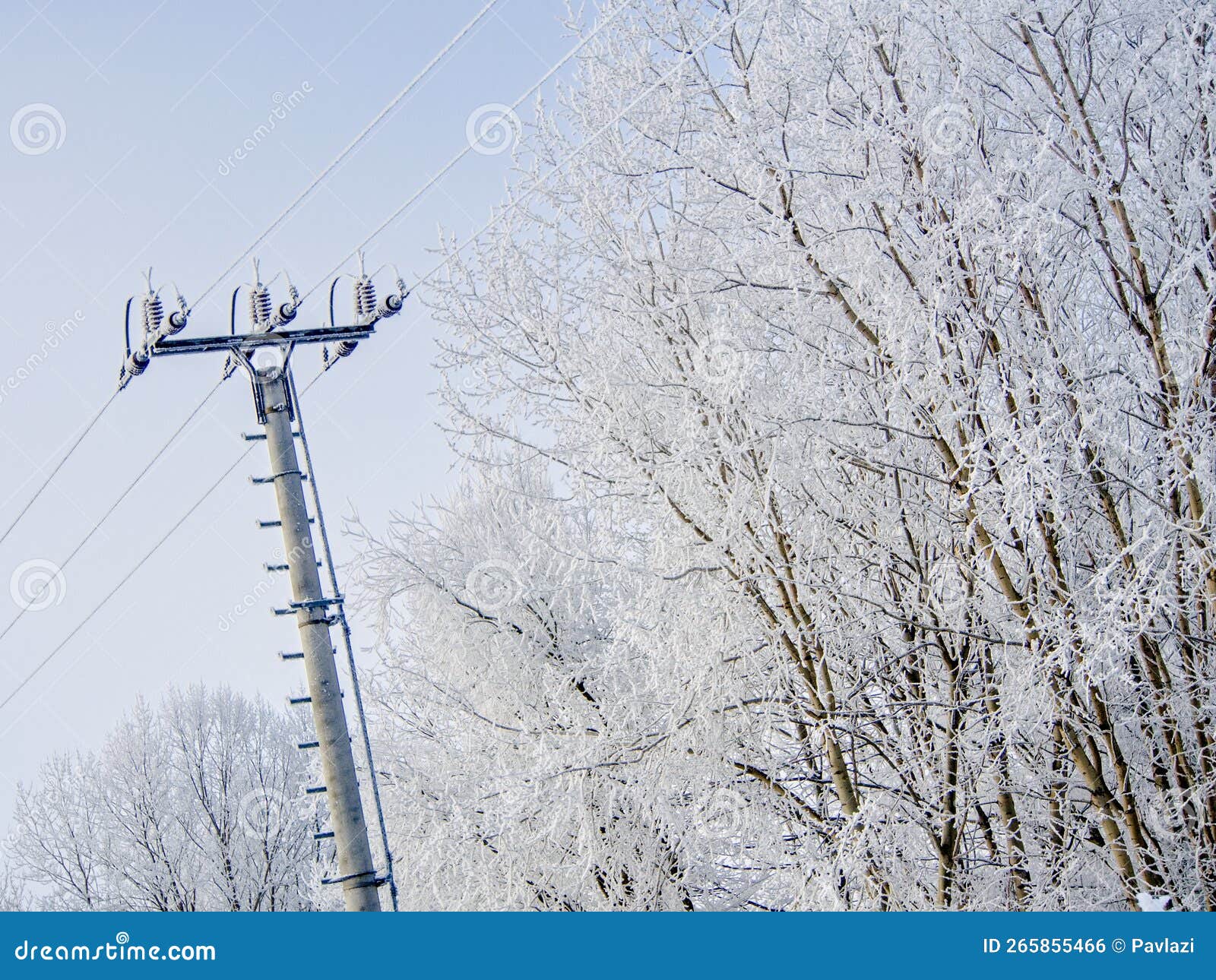 Hoarfrost on Power Lines and Tree Branches on a Frosty Winter Day Stock ...