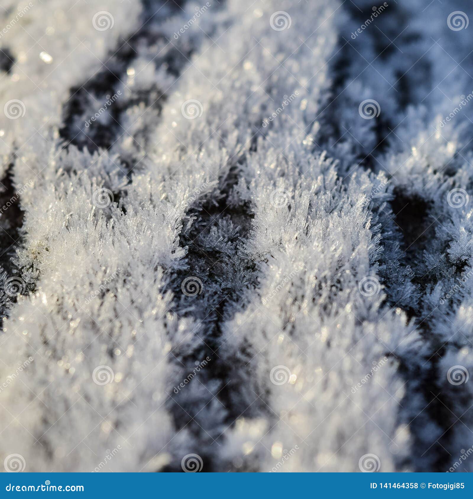 Hoarfrost on Tree Trunk Surface Stock Photo - Image of frosted ...