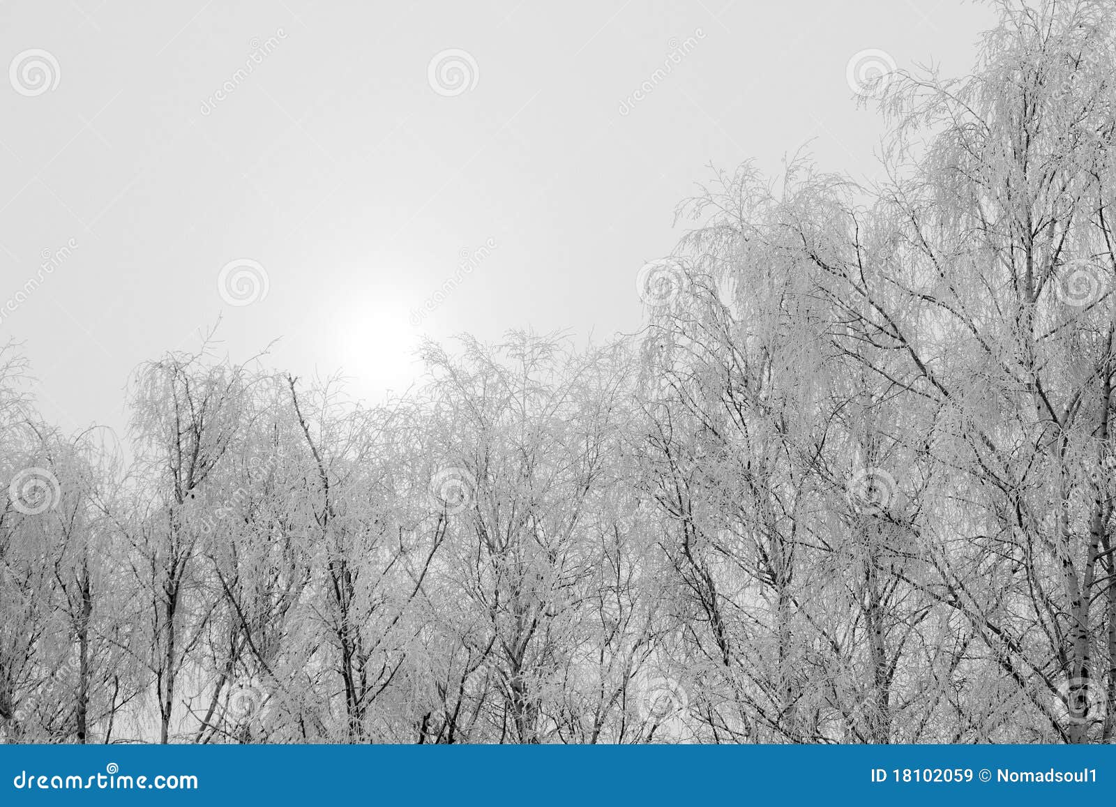 Hoarfrost on the trees stock image. Image of tree, landscape - 18102059