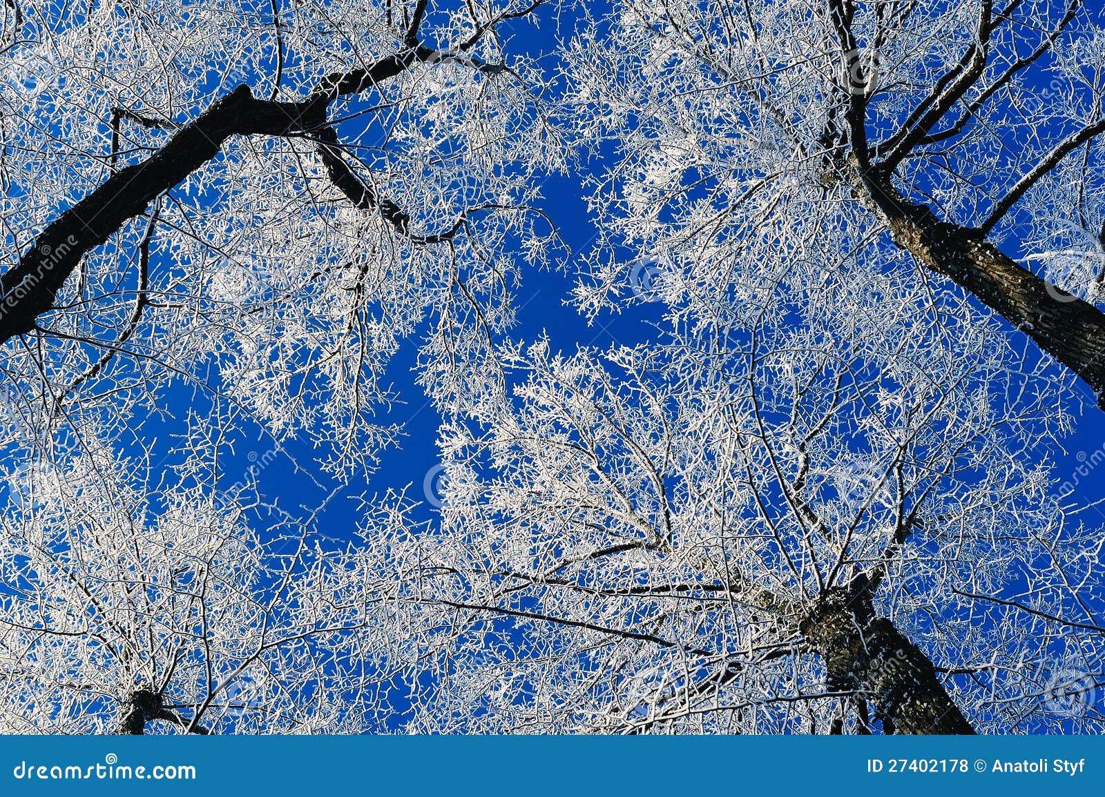 Hoarfrost on the trees stock photo. Image of hoarfrost - 27402178