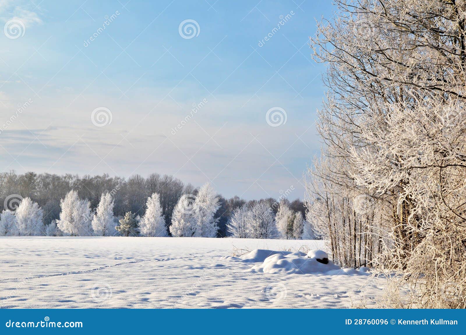 Hoarfrost view stock photo. Image of blue, season, light - 28760096