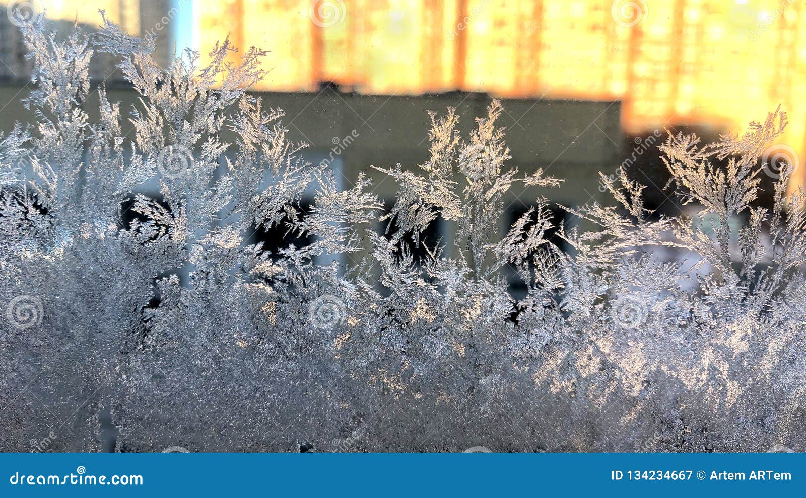 Hoarfrost stock image. Image of window, winterincity - 134234667