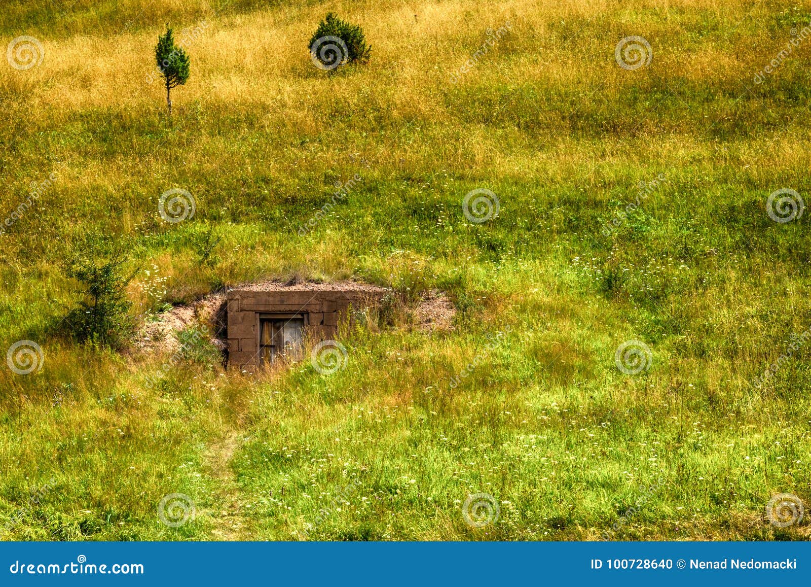 Hobbit house stock photo. Image of spring, roof, green - 100728640