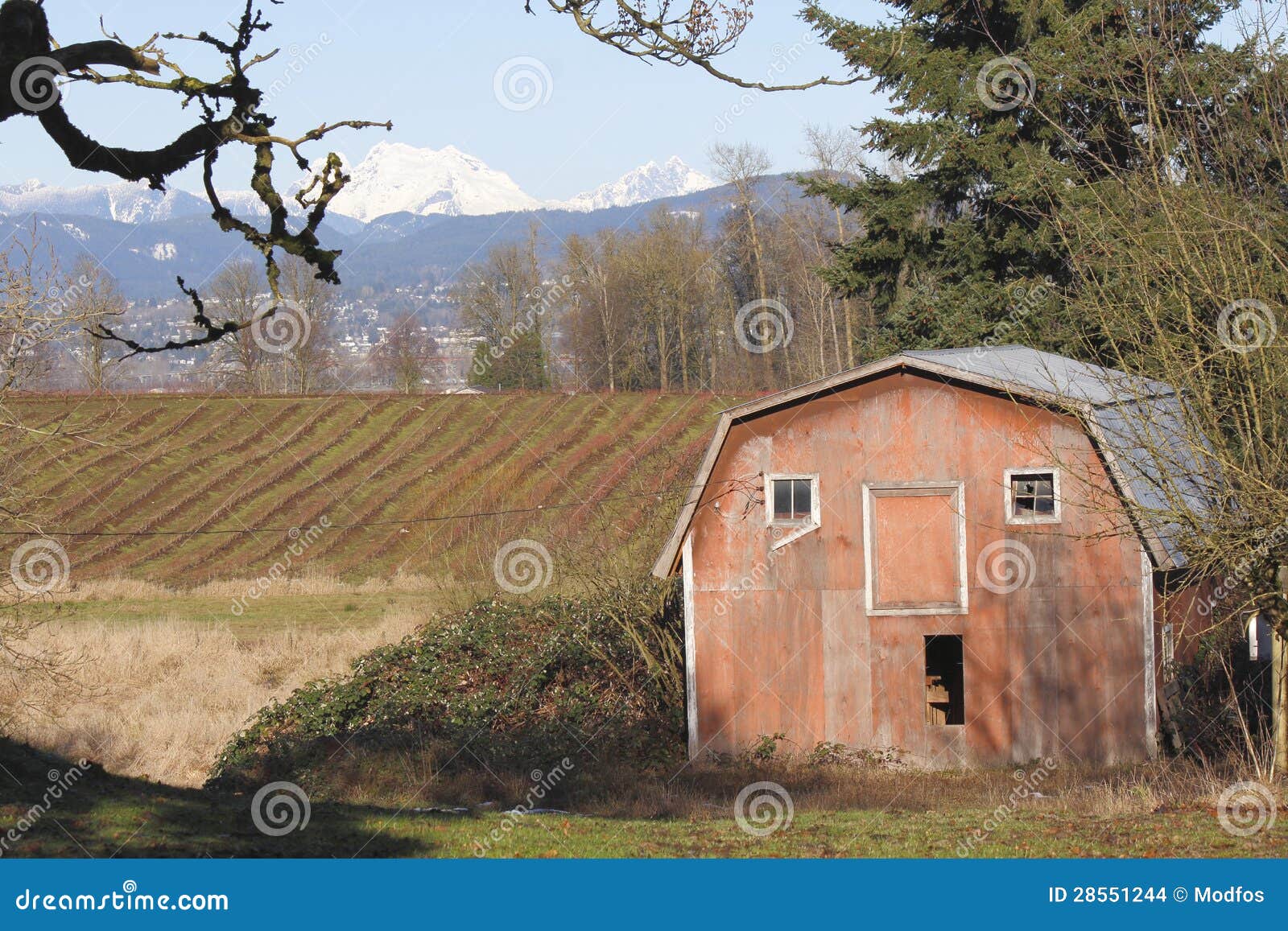 Hobby Farm stock photo. Image of barn, rural, hobby, field - 28551244