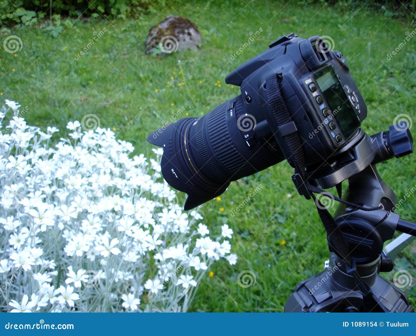 Hobby Photographer in Action Stock Photo - Image of shootting, shutter ...