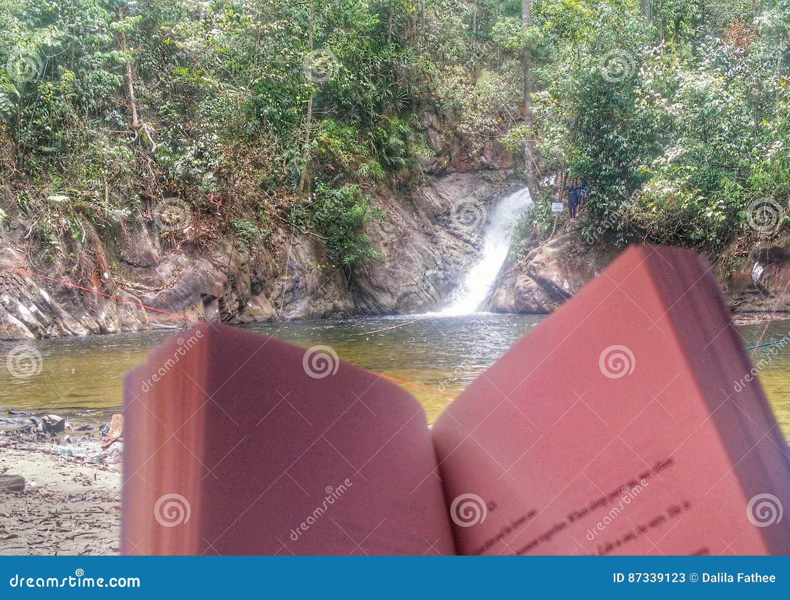 Hobby stock image. Image of nature, reading, jungle, waterfall - 87339123