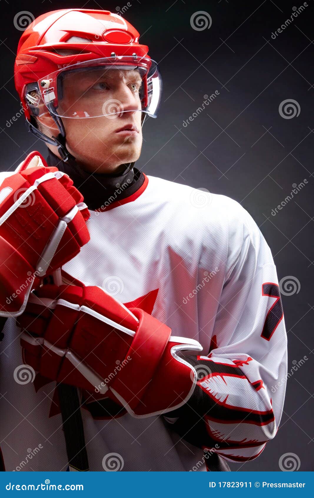 Hockey man stock image. Image of professional, isolation - 17823911