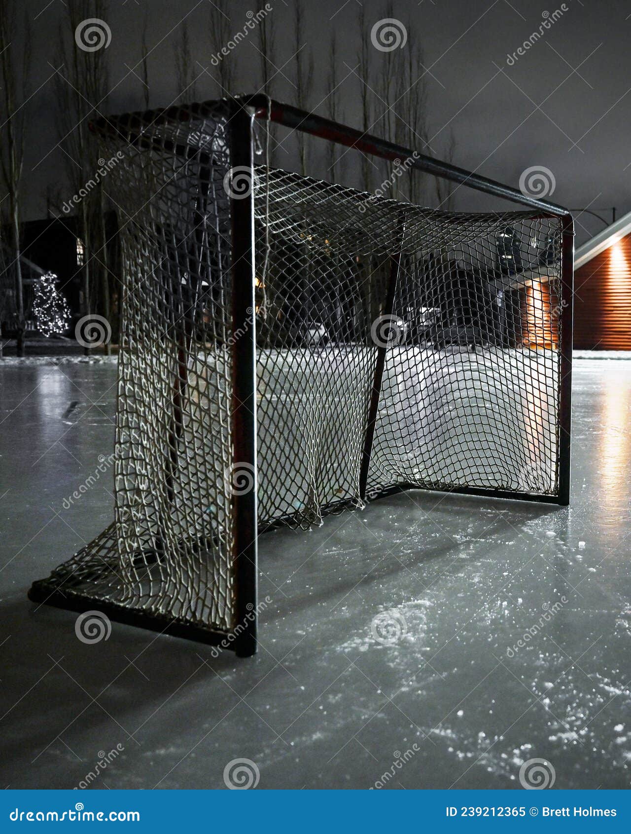 Hockey Net on Empty Outdoor Skating Rink Stock Image - Image of house ... Hockey Net on Empty Outdoor Skating Rink Stock Image - Image of house ...
