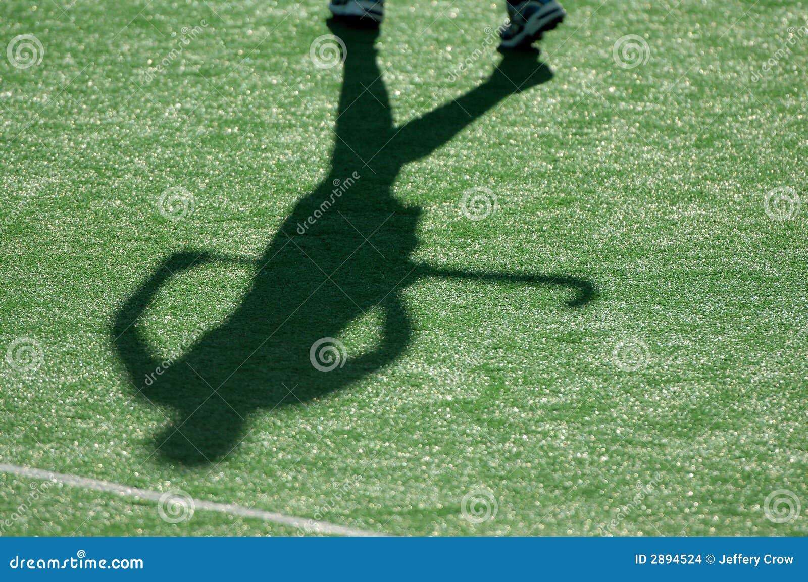 Hockey shadows 01 stock photo. Image of artificial, texture - 2894524