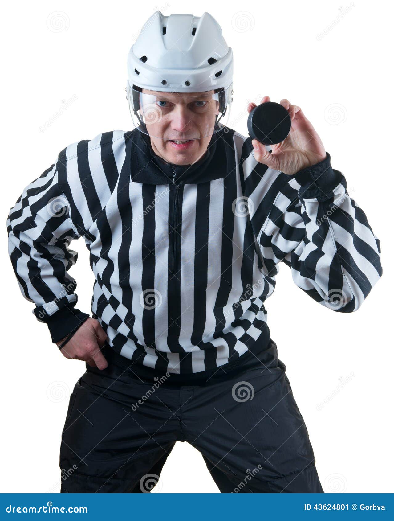 Hockeyscheidsrechter Met Puck Stock Afbeelding - Image of spel ...