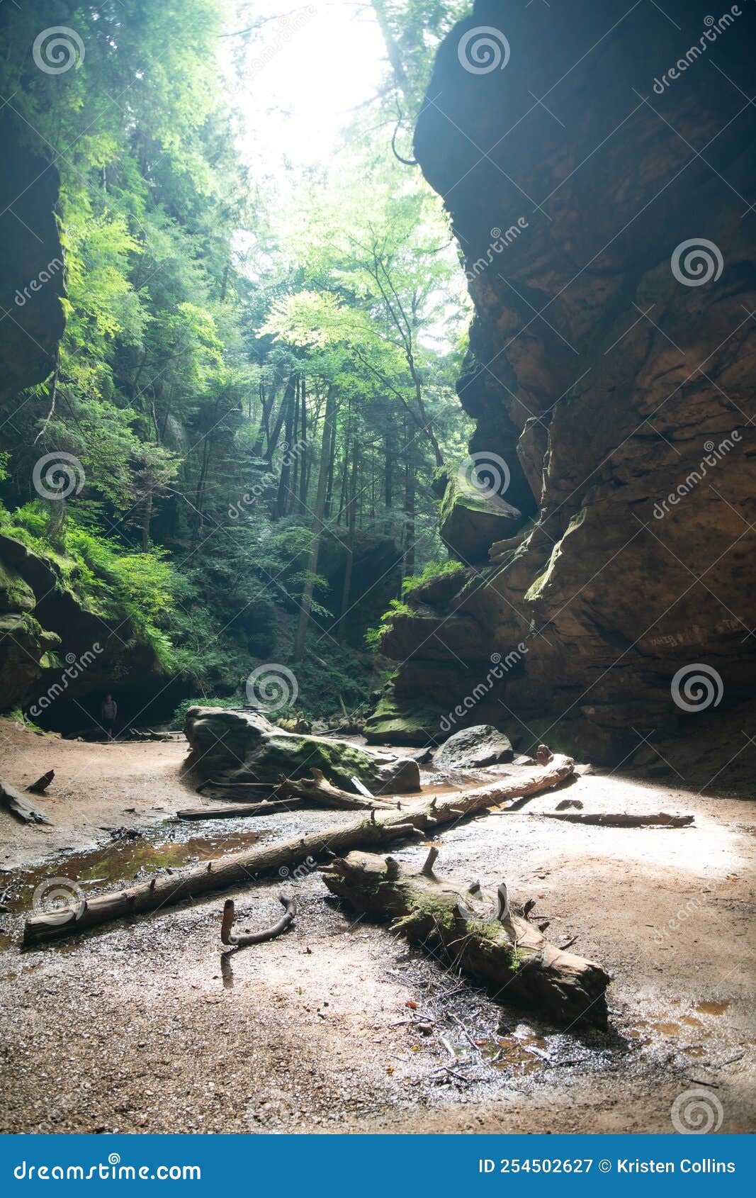 Hocking Hills Conkle S Hollow Stock Image - Image of wilderness, creek ...