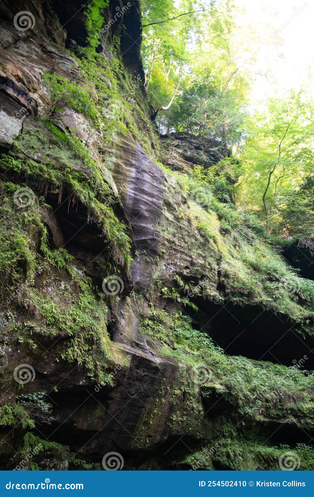 Hocking Hills Rock House stock photo. Image of wilderness - 254502410
