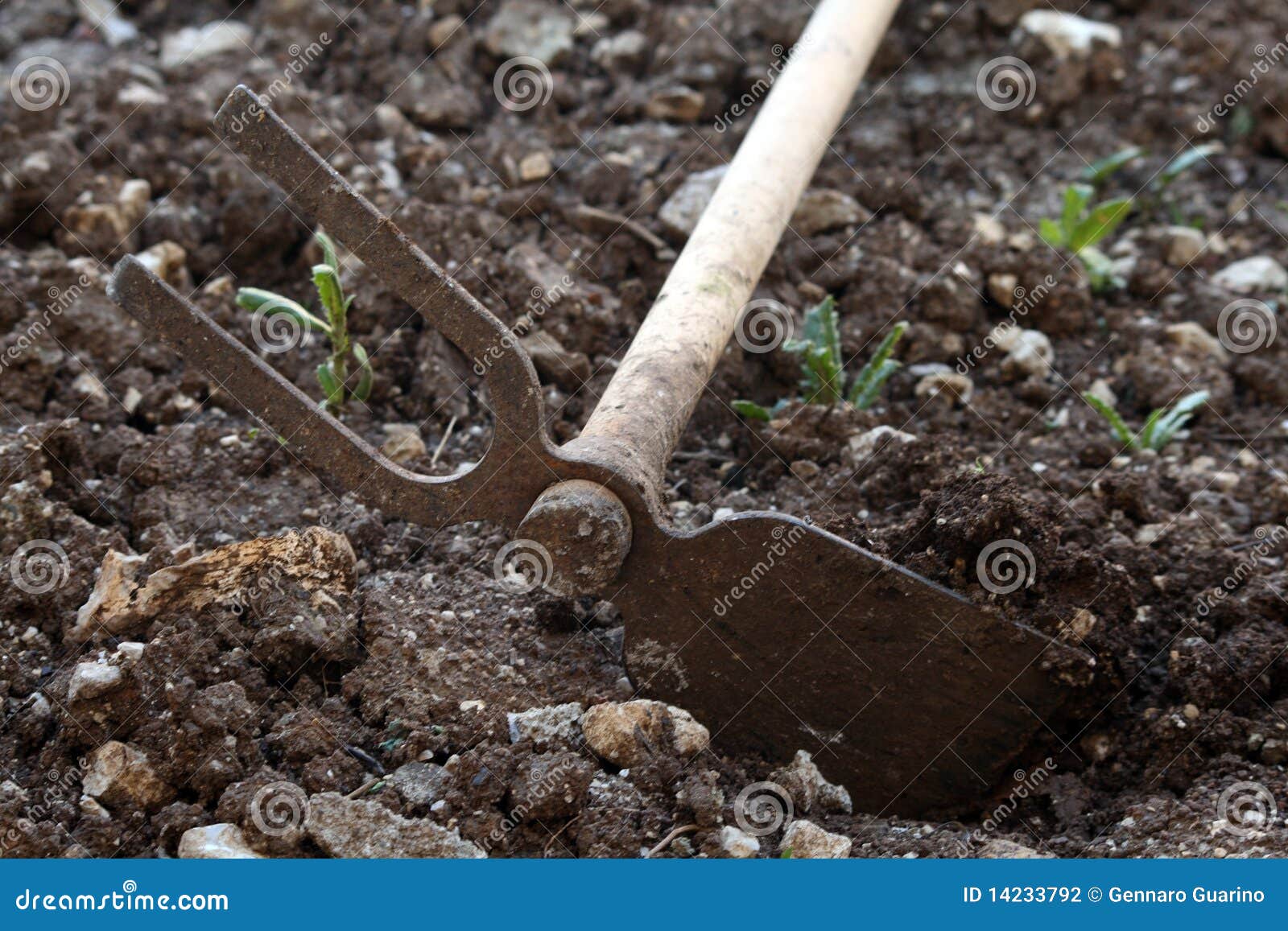 Hoe stock photo. Image of earth, field, hands, agriculture - 14233792