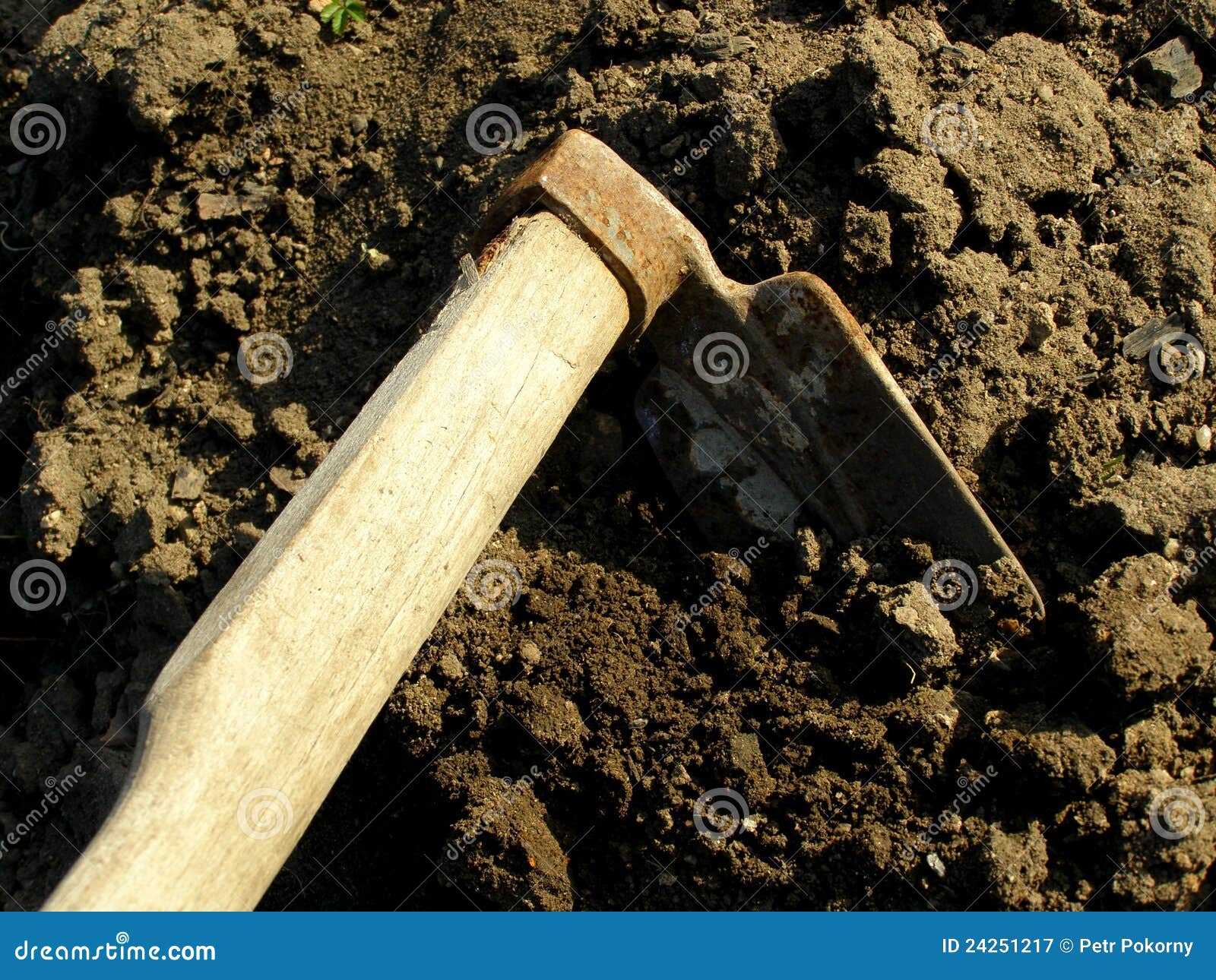 Hoe in garden stock image. Image of color, interesting - 24251217