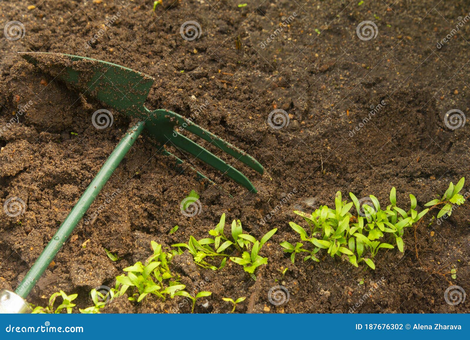 Hoe from Hand Tools Used for Hoeing and Planting . Caring for Garden ...