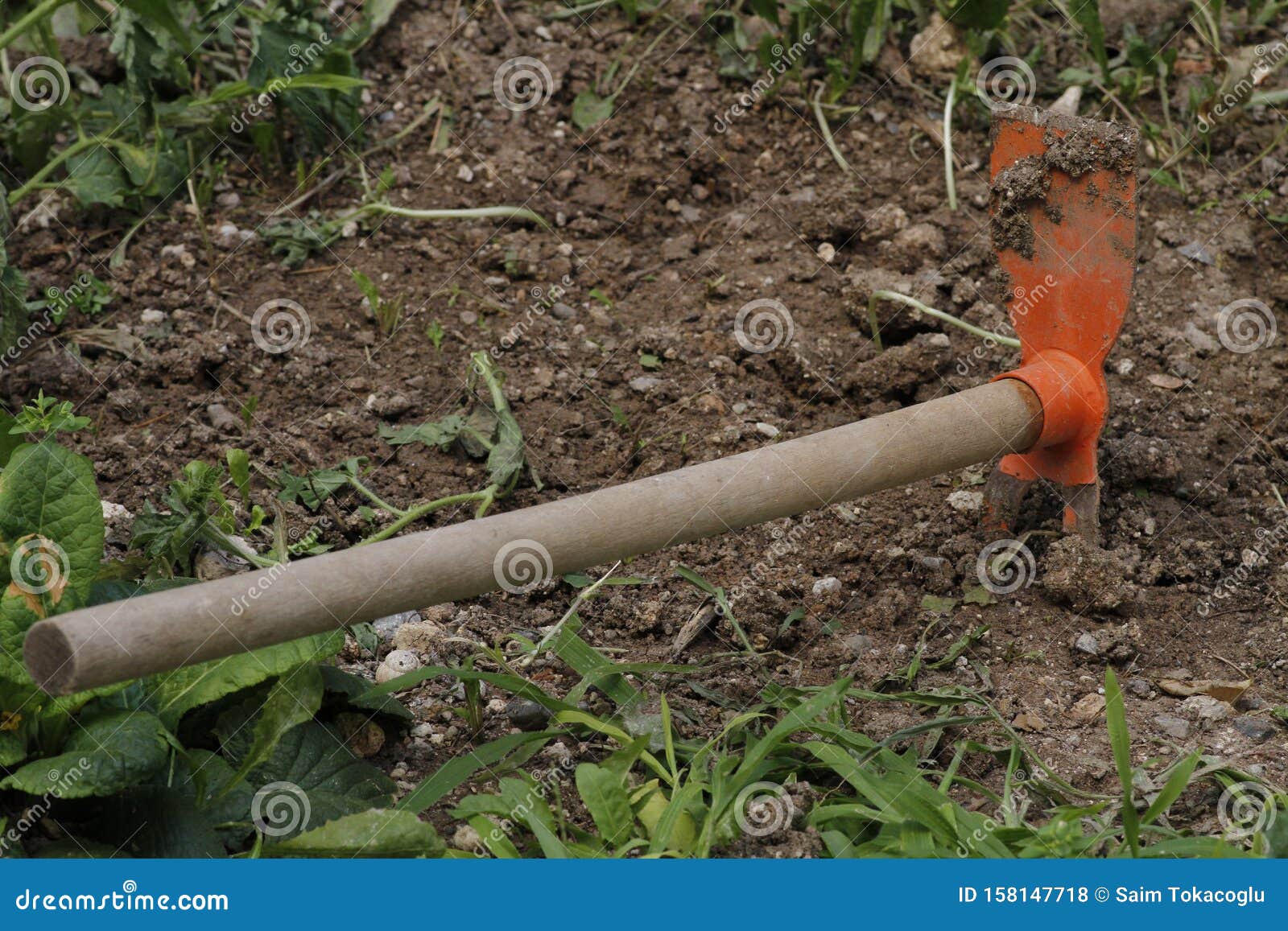 Hoe from Hand Tools Used for Hoeing and Planting Flowers. Stock Photo ...