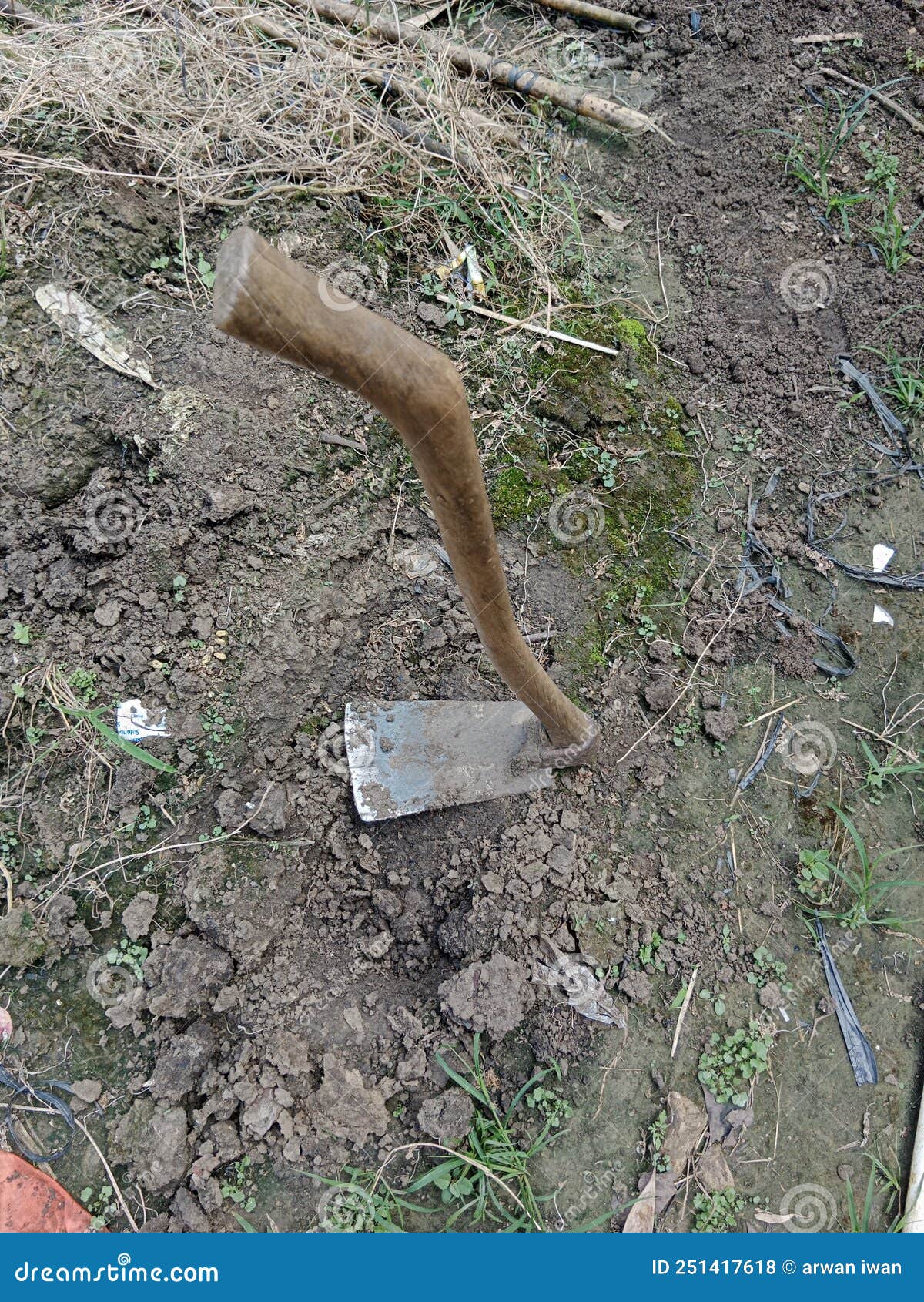 Hoe is a Manual Farming Tool Stock Photo - Image of tools, plant: 251417618